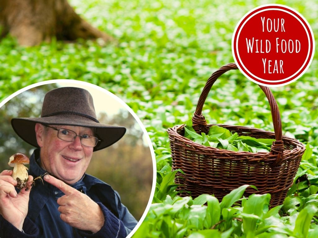 Family Bushcraft: Shelter Building - Woodland Classroom