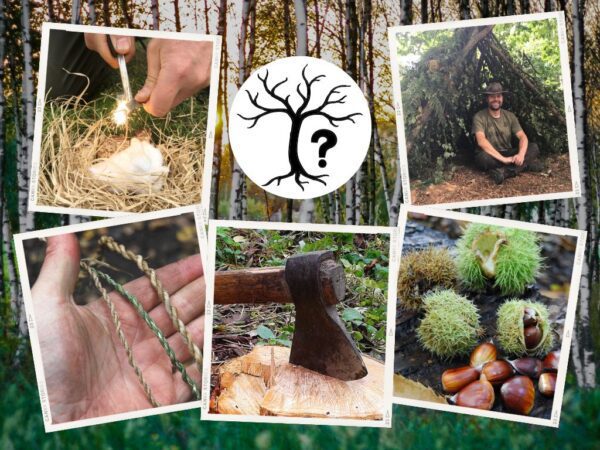 Top 10 Trees for Bushcraft (Online Workshop) - Woodland Classroom