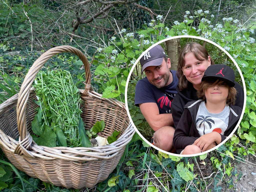 Tree Foraging (Online Workshop) - Woodland Classroom