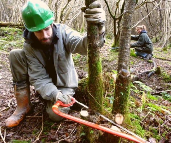 Sustainable Woodland Management Weekend - Woodland Classroom